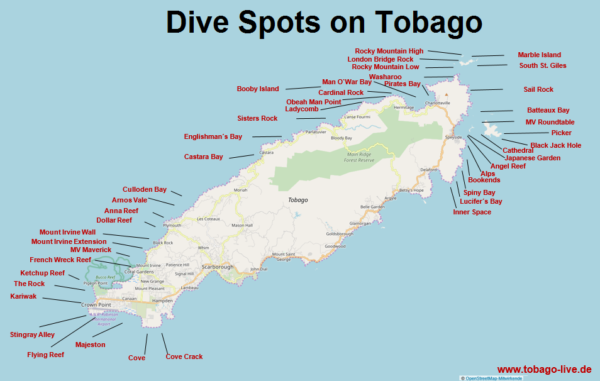The best dive sites on Tobago